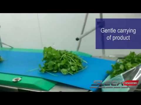 Vegetable Packaging Machines | Fresh Produce Solutions