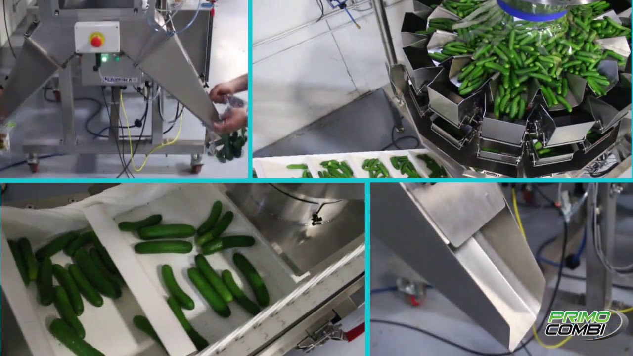 Packaging Mini Cucumbers into pre made stand up pouches - PrimoCombi ...