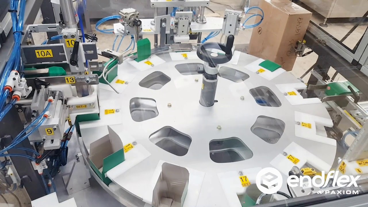 Carton Load & Labeling System