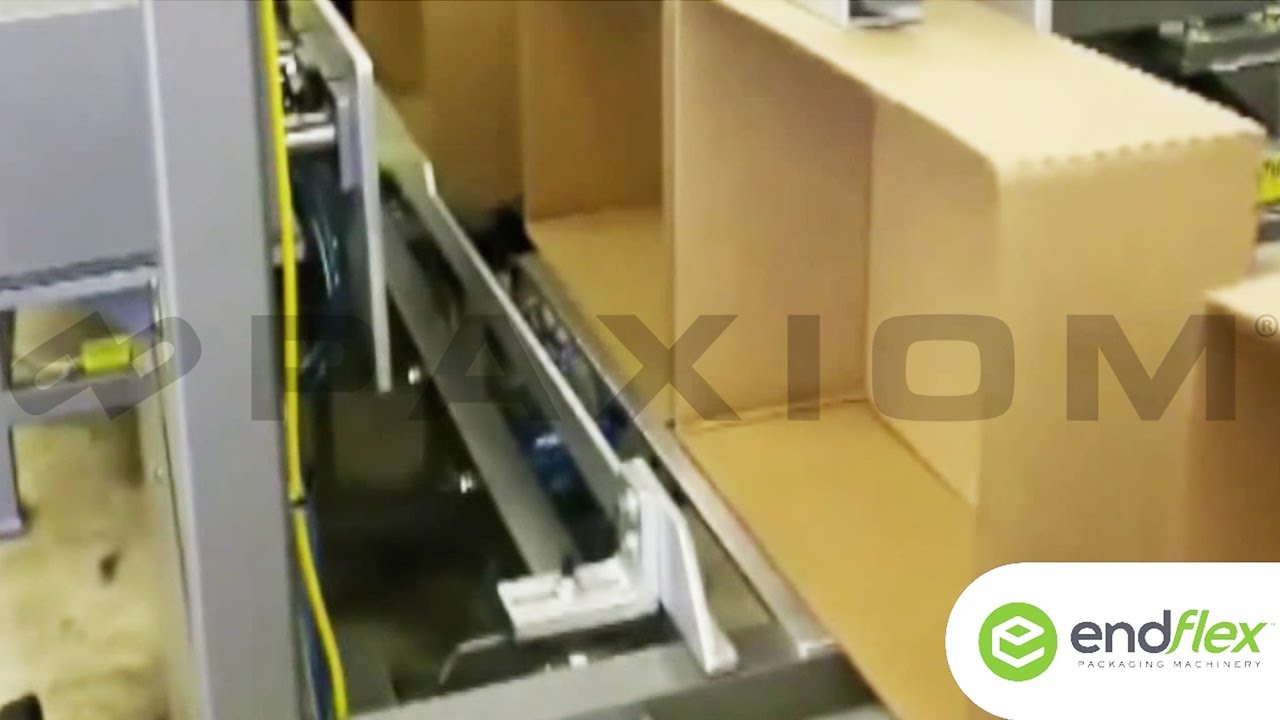 Boxxer Case Erector with Gluer for HSC Cases