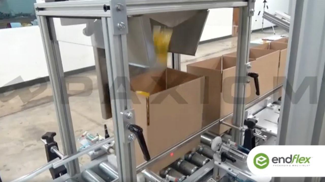 BoxxPak optical pouch counting system to case pack