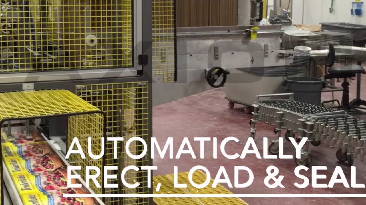 EndFlex case packing machine for carton loading RSC and HSC cases