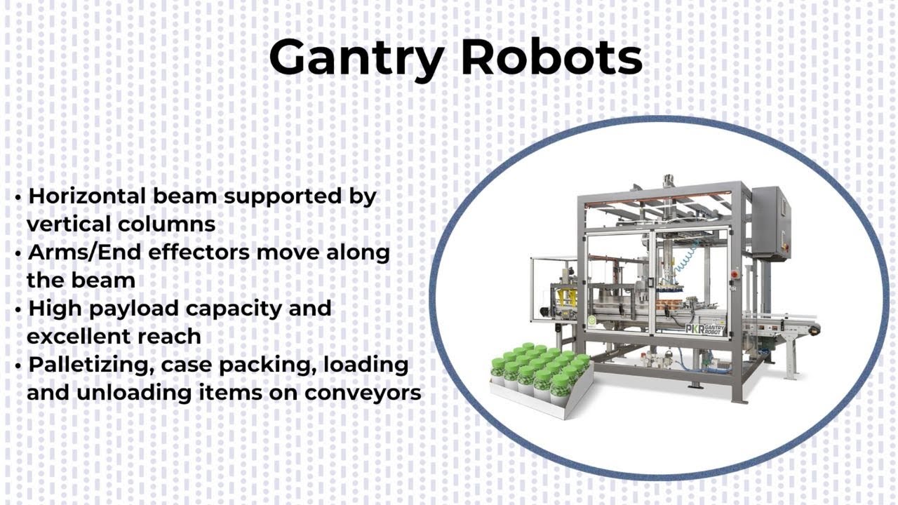 Paxiom Gantry Robot Pick and Place Case Packer Explained