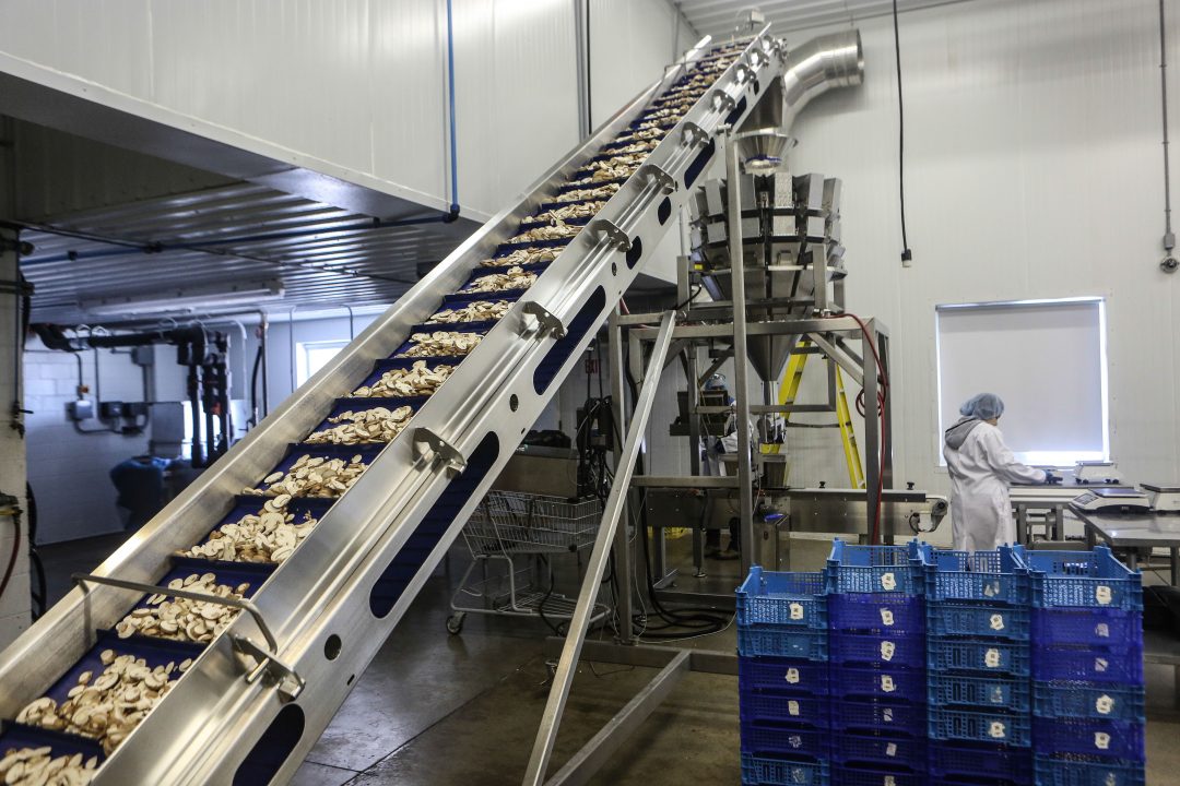 Container Filling Machines | Weigh & Fill Containers