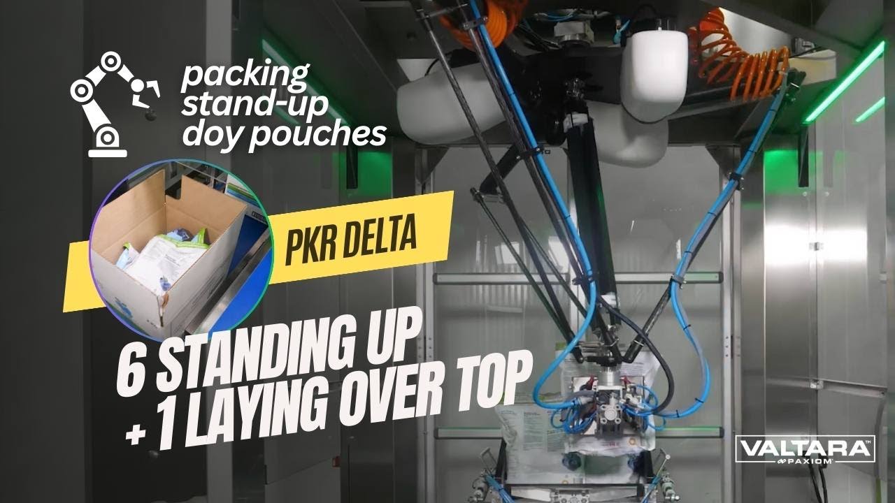 PKR Delta Robot Packing Stand Up Doy Style Pouches Into Cases