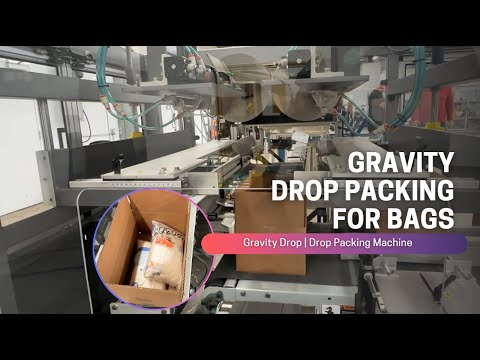 Gravity Drop Case Packing Machine for Bags