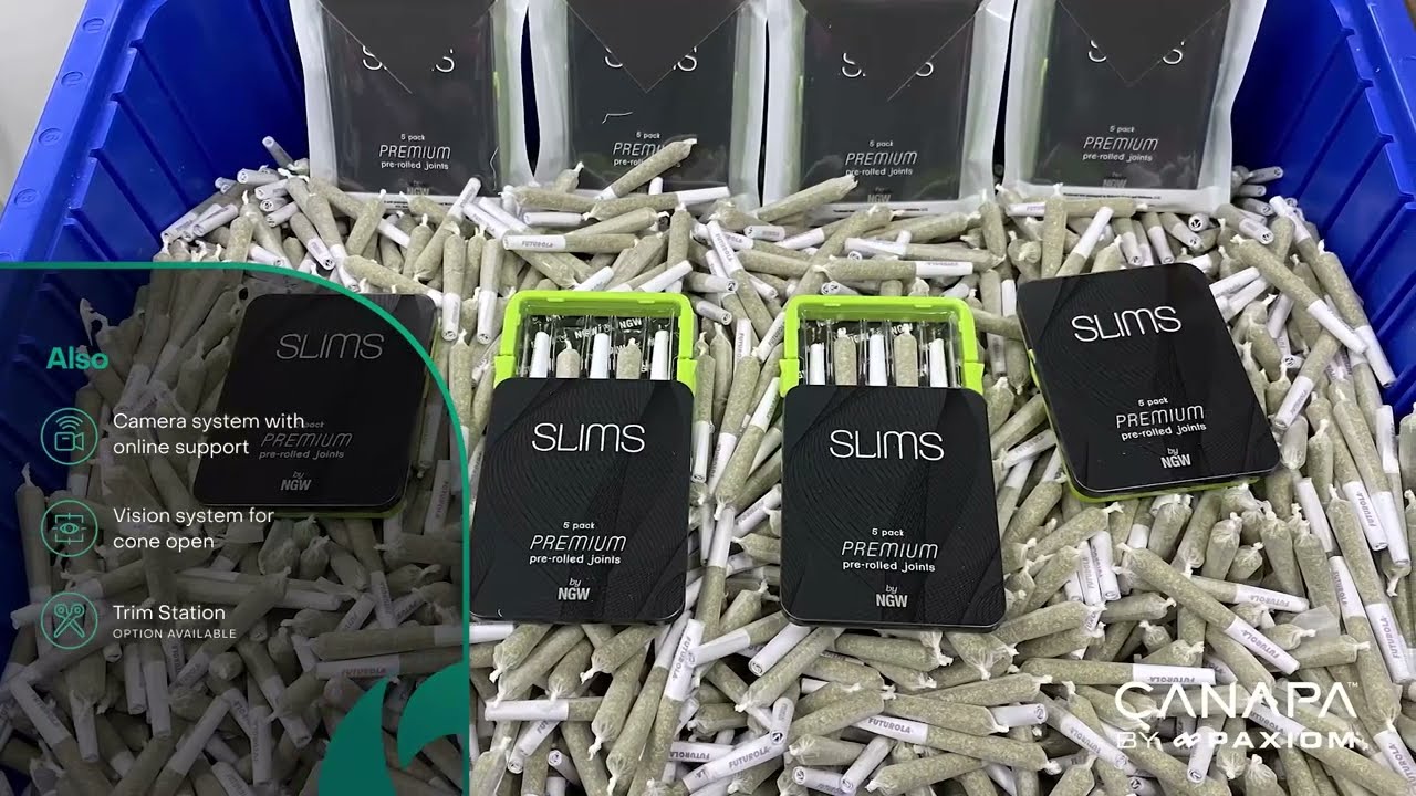 Inside the Cannabis Supply Chain: From Seed to Dispensary