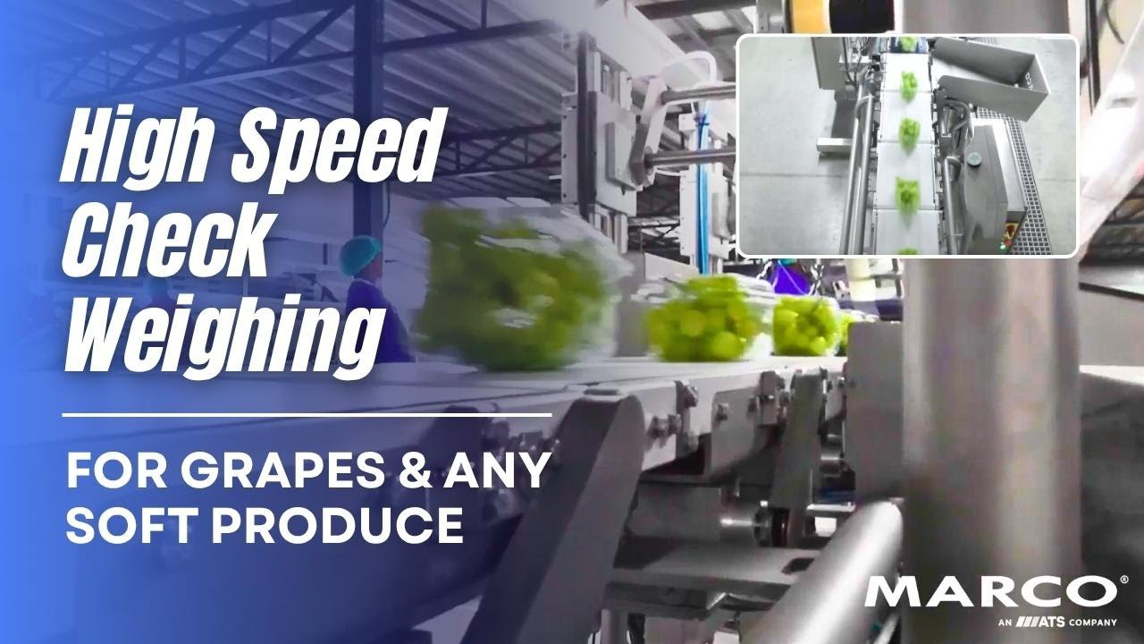 Marco High Speed Grape Check Weighing Line